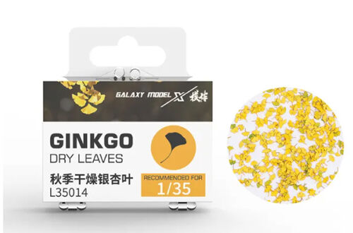 Galaxy-Model L35014 Ginkgo dry leaves