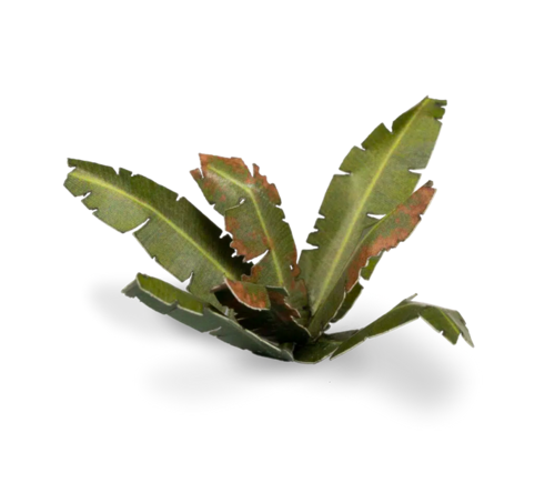 GamersGrass GGLP-BT Laser Plants - Banana Tree