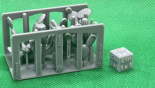 EMP3D 99160108 Kaktusy Mix - 10 różnych sztuk - 25 mm