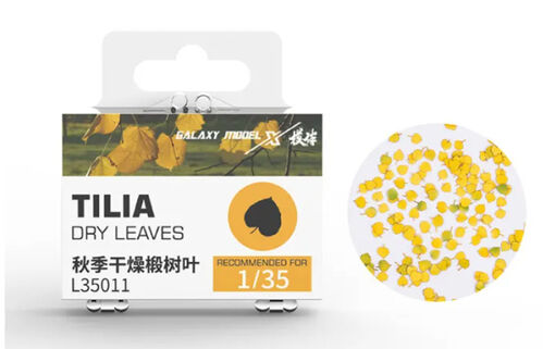 Galaxy-Model L35011 Tilia dry leaves