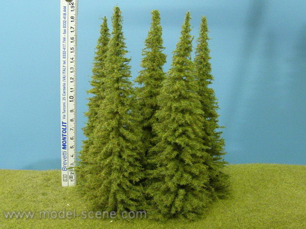 Model scene MO200 Larch 180 mm - 220 mm