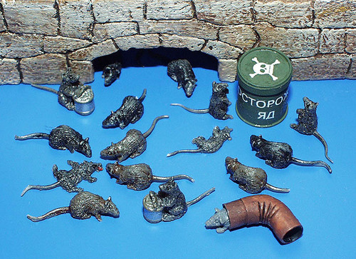 Plus Model 171 Rats