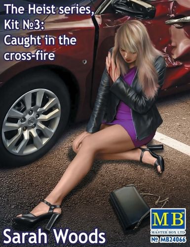 Master Box 24066 Caught in the cross-fire Sarah Woods