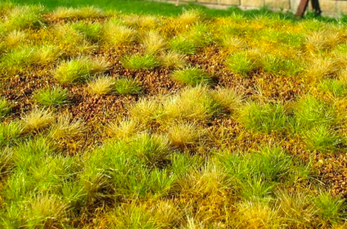 Model scene F533-S Steppe unwatered late summer - MINIPACK