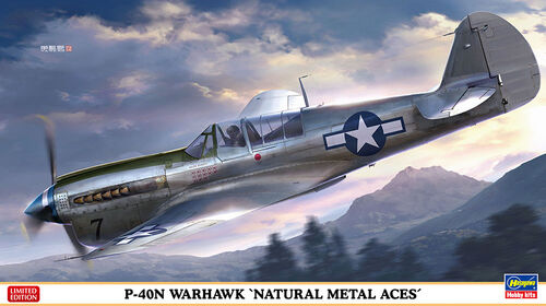 Hasegawa 07516 P-40N Warhawk 'Natural Metal Aces'