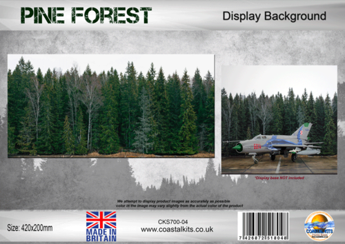 Coastal kits S700-04 Pine Forest Background