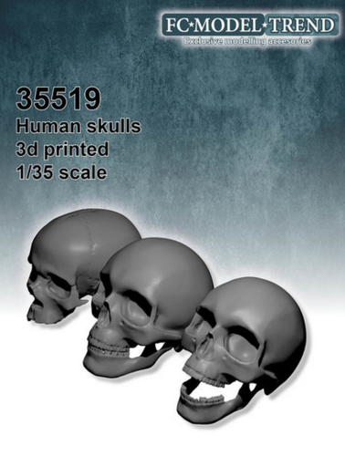 FC ModelTrend 35519 Human skulls