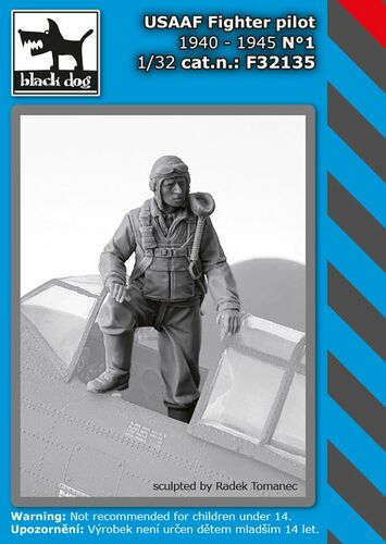 Black Dog F32135 USAAF Fighter pilot 1940-45 N°1