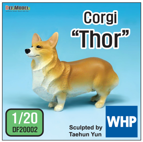 DEF Model DF20002 Corgi "Thor"