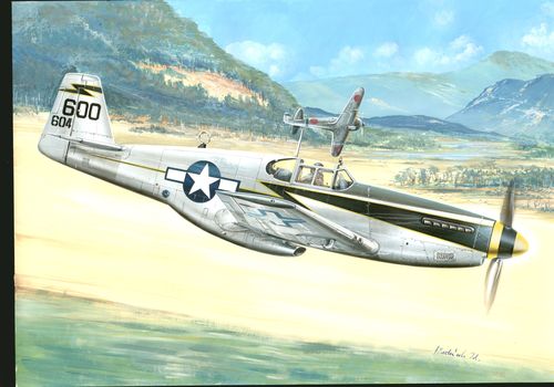 Kovozavody Prostejov 72033 North-American P-51C Mustang, USAAF