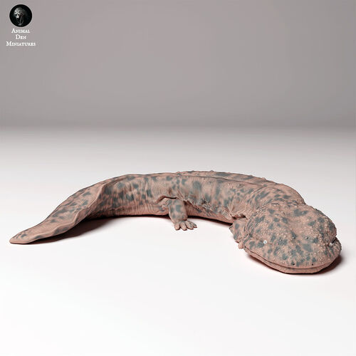 EMP3D 48130294 Salamandra olbrzymia japońska (1 sztuka)