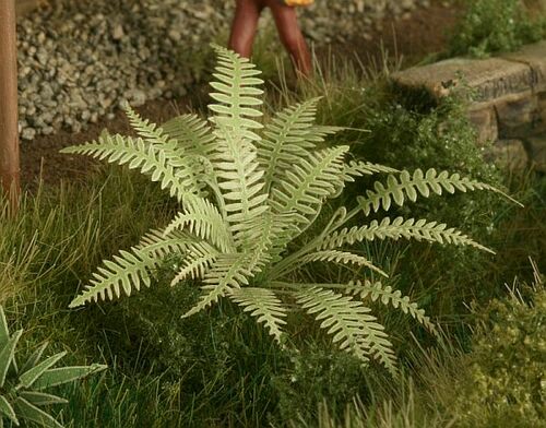 Model scene VG4-001 Fern