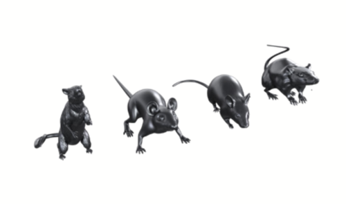 HD Models 35161 Rats