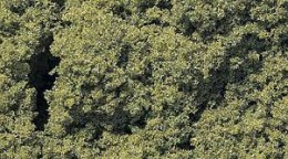 Woodland Scenic FC57 LISTOWIE - Light Green Foliage