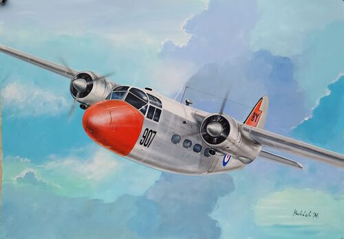 Valom 72166 Percival P.50 Sea Prince C.1 (WF 137, WF 138)