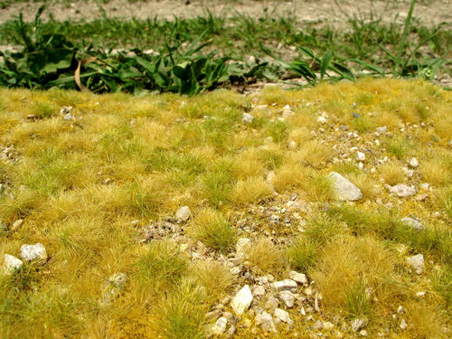 Model scene F713 Little Calc Stones - Late Summer