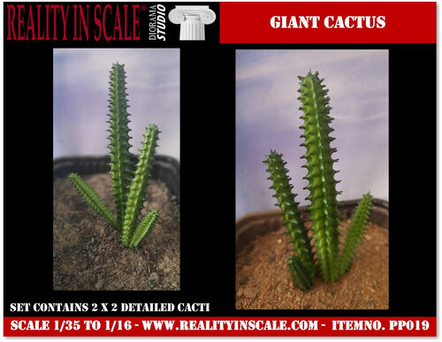 Reality in Scale PP019 Giant Cactus Set - High Quality Plastic Plants
