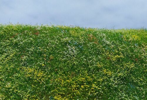 Model scene F562 Blooming Meadow - Early Summer