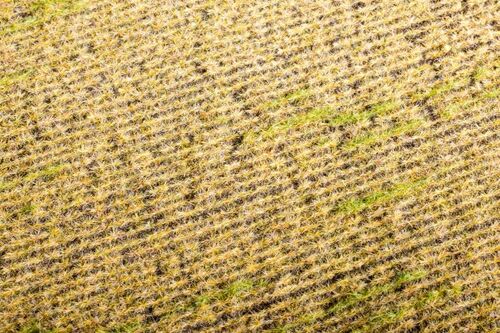 Model scene F403 Stubble field