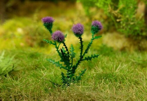 Model scene VG3-021 Thistle