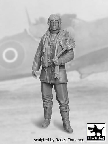 Black Dog F32028 RAF Fighter pilot 1940-45 N°1