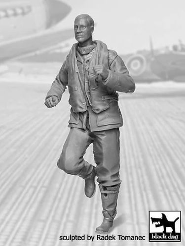 Black Dog F32044 RAF fighter pilot N°4