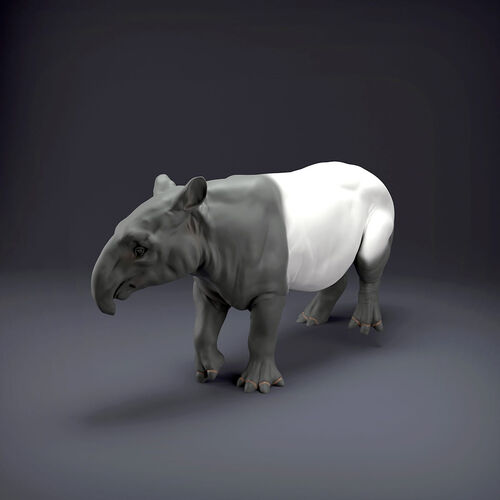 EMP3D 72130265 Tapir czaprakowy - samiec stojący (2 sztuki)