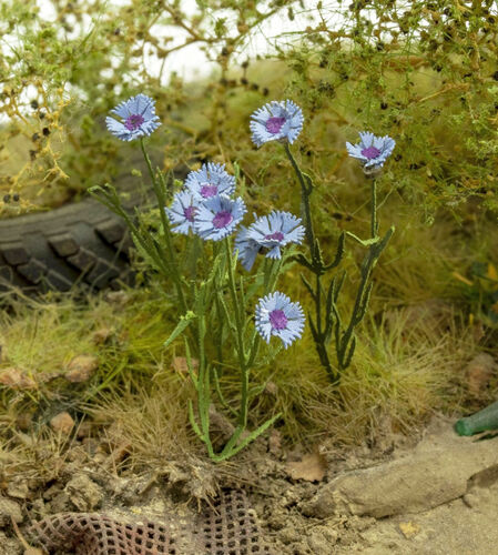 Model scene VG3-044 Cornflower