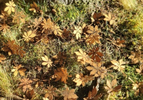 Model scene L3-107 Chestnut leaves extra color