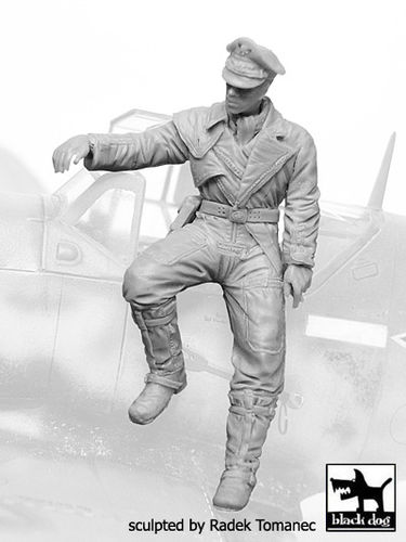 Black Dog F32066 German Luftwaffe Pilot 1940-1945 N°6
