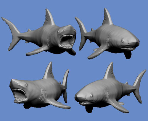 Germania-Figuren 72-ANIMAL-1031 White Shark