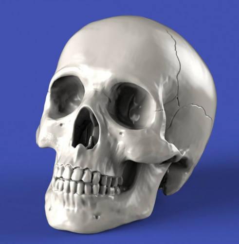 Royal Model di R. Reale 912 Skulls 54mm