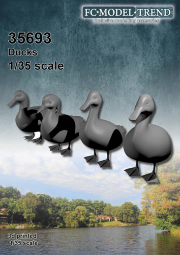 FC ModelTrend 35693 Ducks