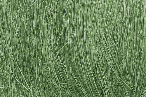 Woodland Scenic FG174 Field Grass Medium Green