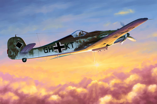 Hobby Boss 81717 FW190D-10