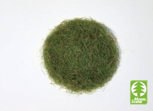 Model scene 006-03 Grass-Flock - Early Summer