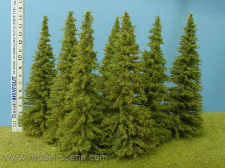 Model scene MO150 Larch 140 mm - 160 mm