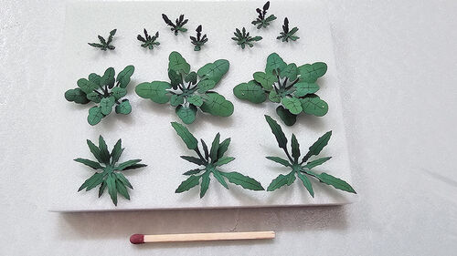 Firma49 P009-35 Weedy Plants