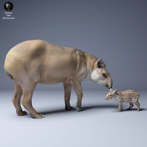 EMP3D 35130255 Tapir amerykański - samica z młodym - idąca - zestaw