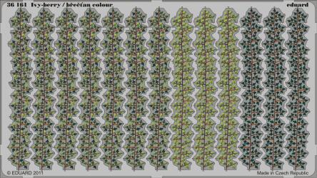 DISCONTINUED Eduard 36161 Ivy-berry / brectan - colour