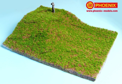 Phoenix Model UD003 The Grassland (With Grass)Suitable (35cm x 32cm)