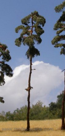 Model scene BR200 Pine-tree 180 mm - 220 mm
