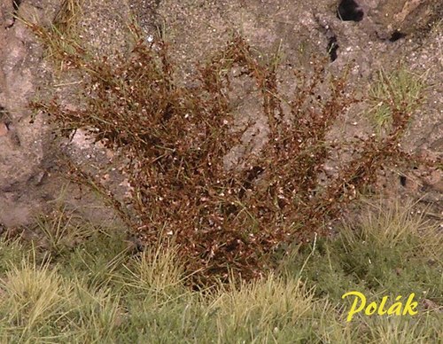 Polák 9254 Zarośla wysokie Mikro brążowe