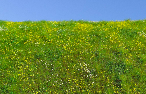 Model scene F561-S Blooming meadow - spring - MINIPACK
