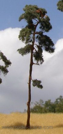 Model scene BR150 Pine-tree 130 mm - 170 mm