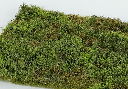 Model scene F571 Wild Area with Bushes - Spring