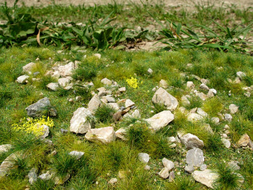 Model scene F732 A Lot Of Calc Stones - Early Summer