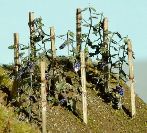 Model scene VG7-222 Grapevine