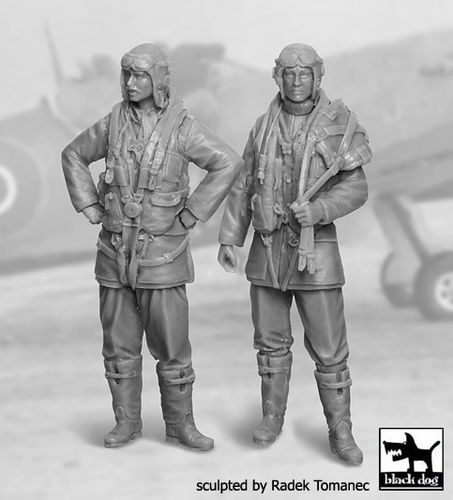 Black Dog F32030 RAF Fighter pilots 1940-45 set