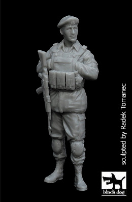 Black Dog F35144 Ukrainian army soldier N°1